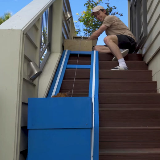 Senior cat gets a custom made elevator to aid his mobility