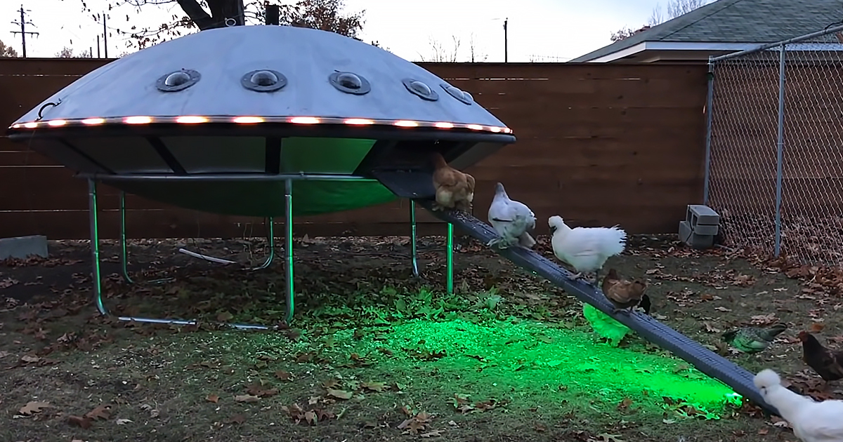 Couple go above and beyond to build UFO chicken coop