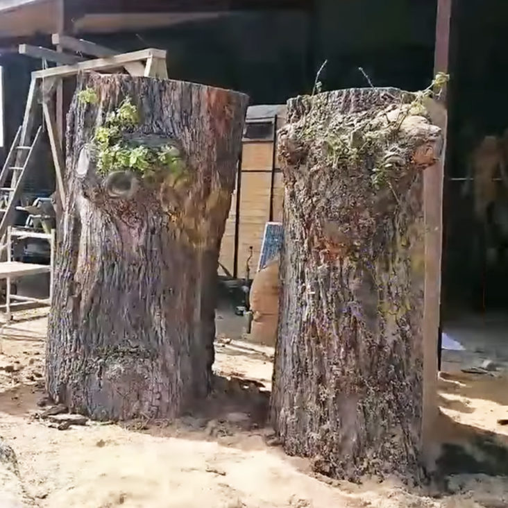 Man turns oak tree trunk into life-like horse in mesmerizing timelapse ...
