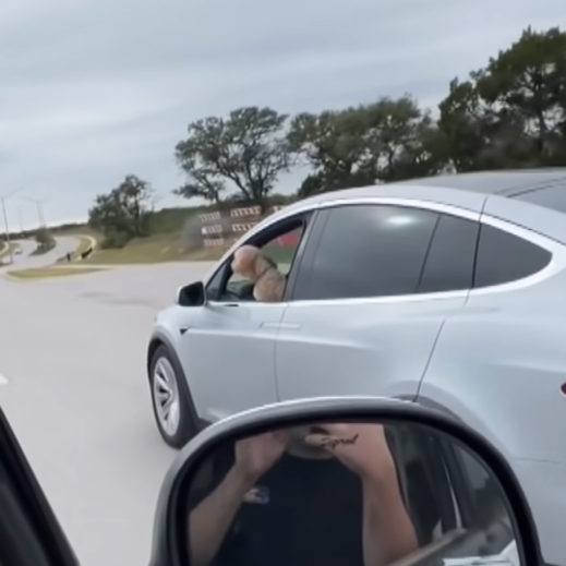 Tiny dog spotted in driver’s seat of Tesla with no one else in the car ...