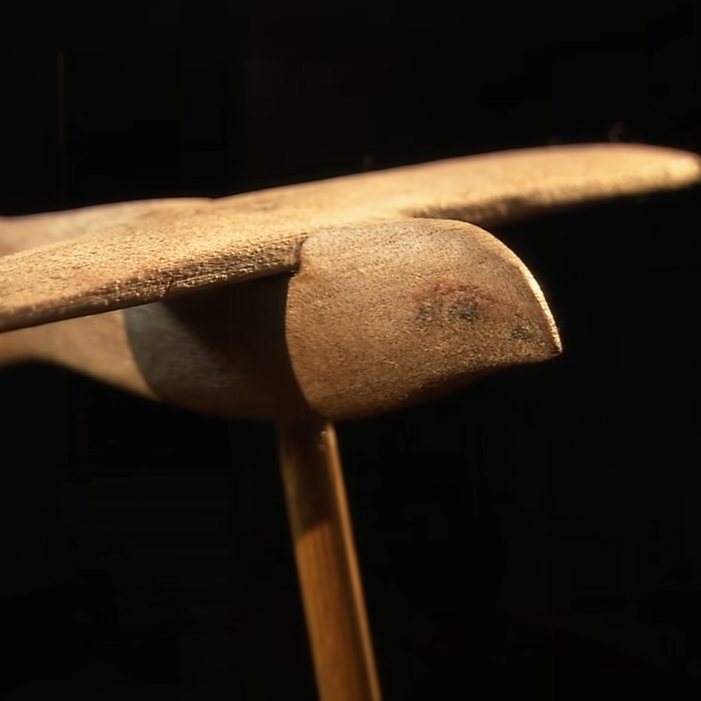 Stunning discovery in Egypt may rewrite the history of human flight