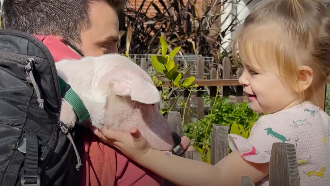 2-year-old girl becomes best buds with deaf puppy