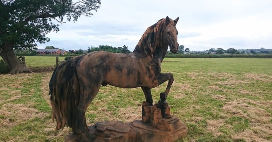 Man turns oak tree trunk into life-like horse in mesmerizing timelapse ...