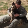 Soldiers come home to dogs in heartwarming homage to man's best friend