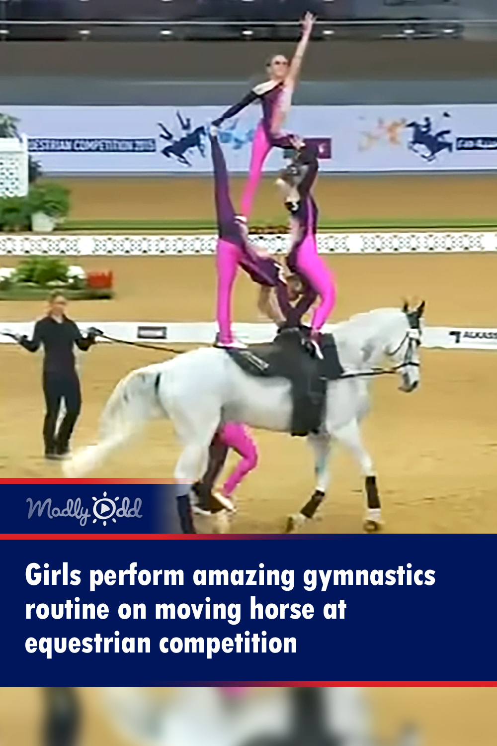 Girls perform amazing gymnastics routine on moving horse at equestrian ...