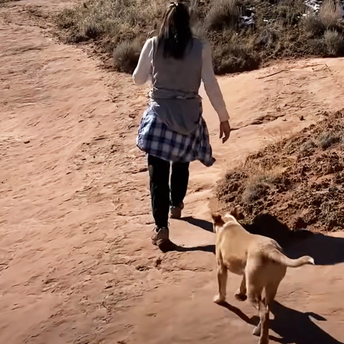 Woman adopts stray dog on travels, they become best buds – Madly Odd!