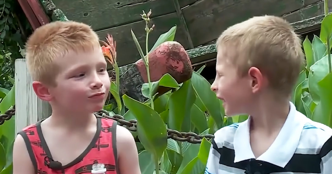 Nine-year-old boy’s wish for a family comes true – Madly Odd!
