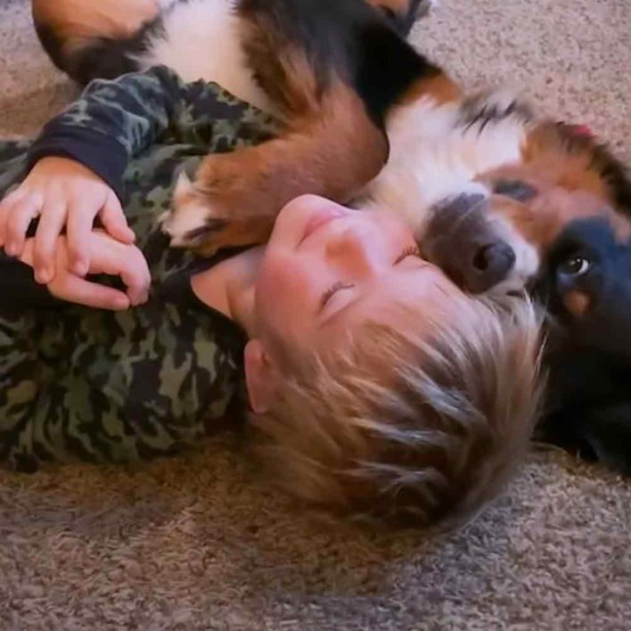 Little boy pens love letter to his loyal dog – Madly Odd!