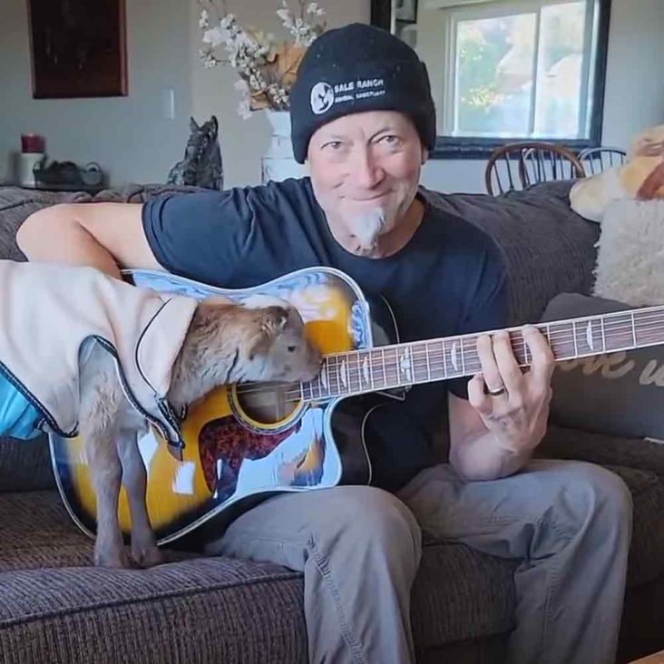 Little rescued lamb knows: Music is medicine for all to enjoy