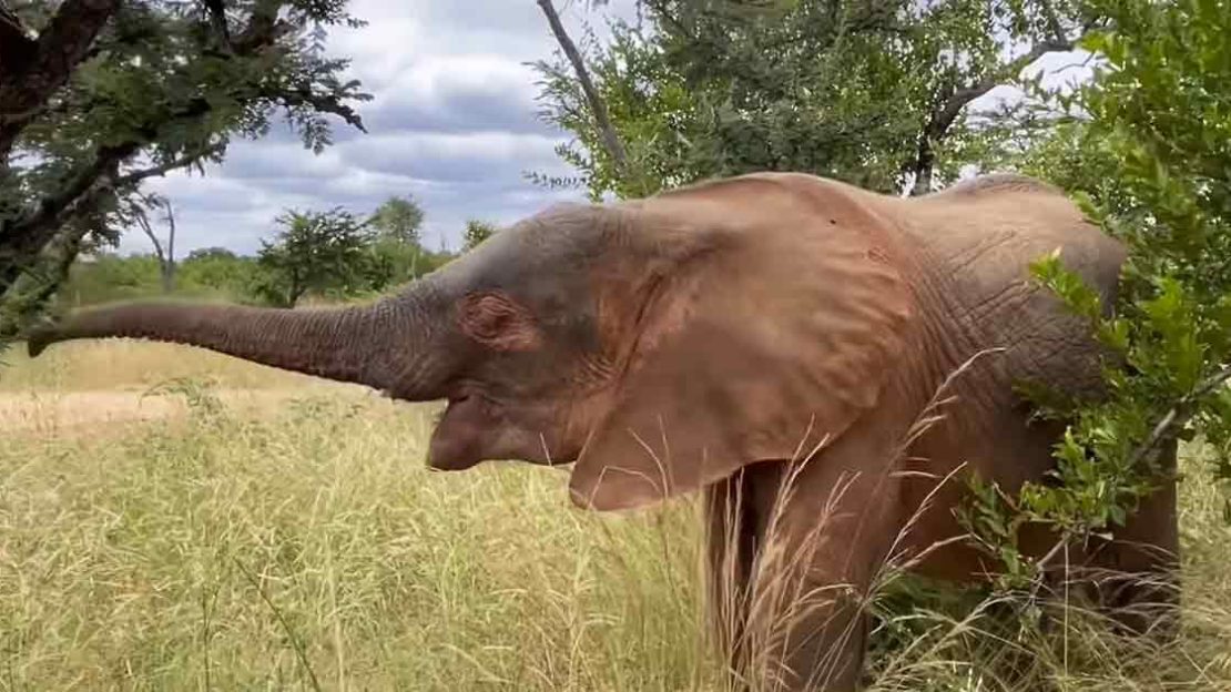 Otters have the funniest reactions when making the wrong choice