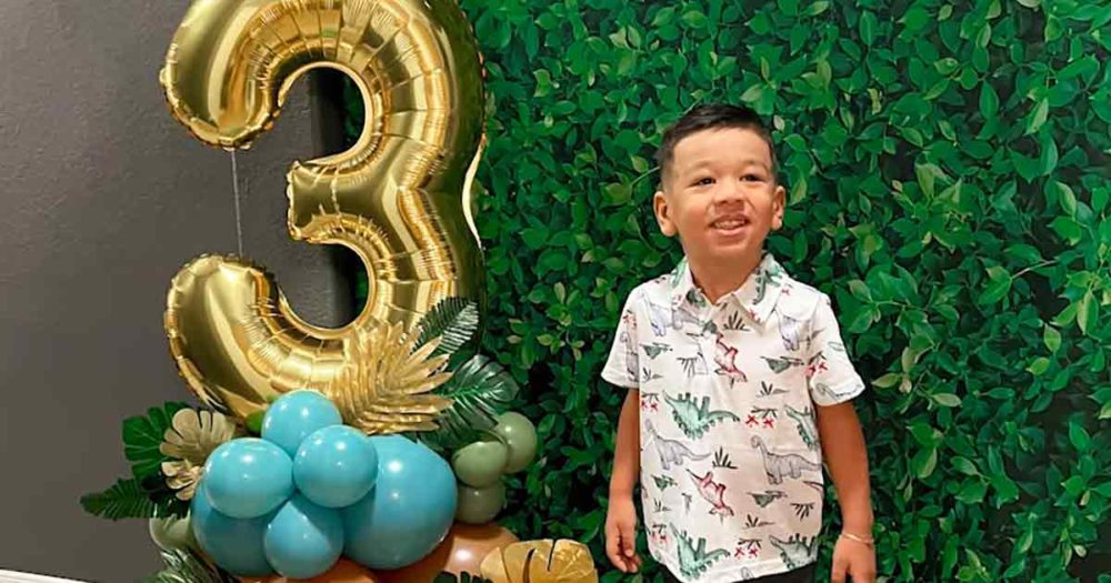Dinosaur-loving boy speechless as T-Rex enters birthday party – Madly Odd!
