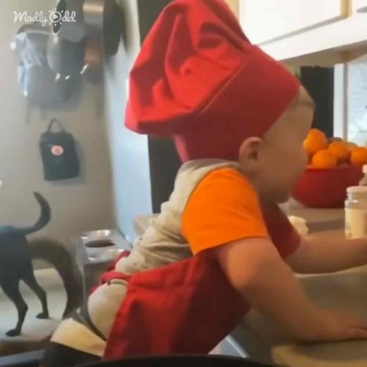 Cutest baby chef goes viral with his cooking videos – Madly Odd!