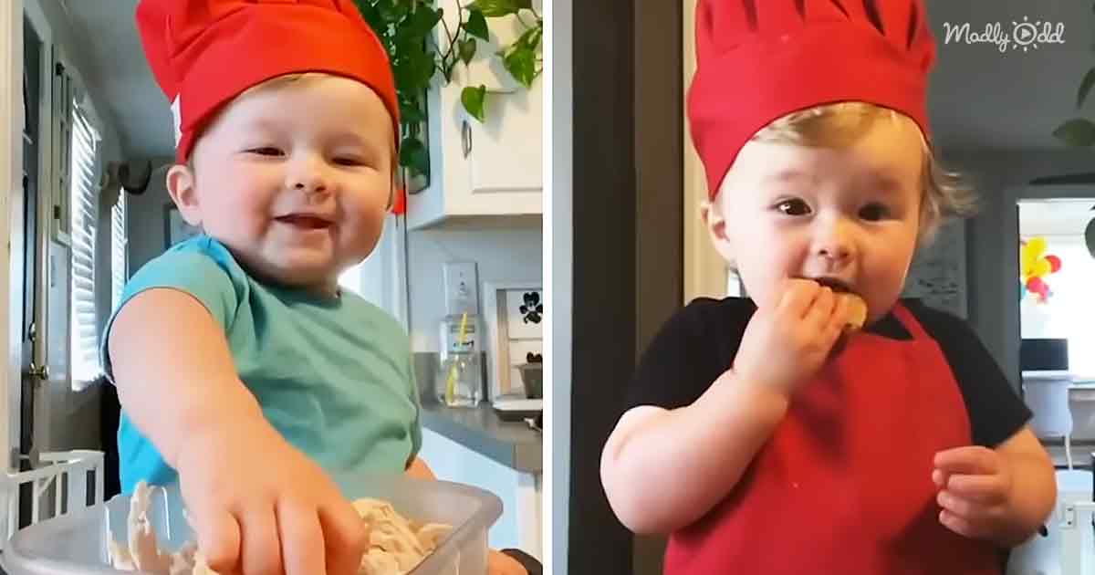 Cutest baby chef goes viral with his cooking videos – Madly Odd!