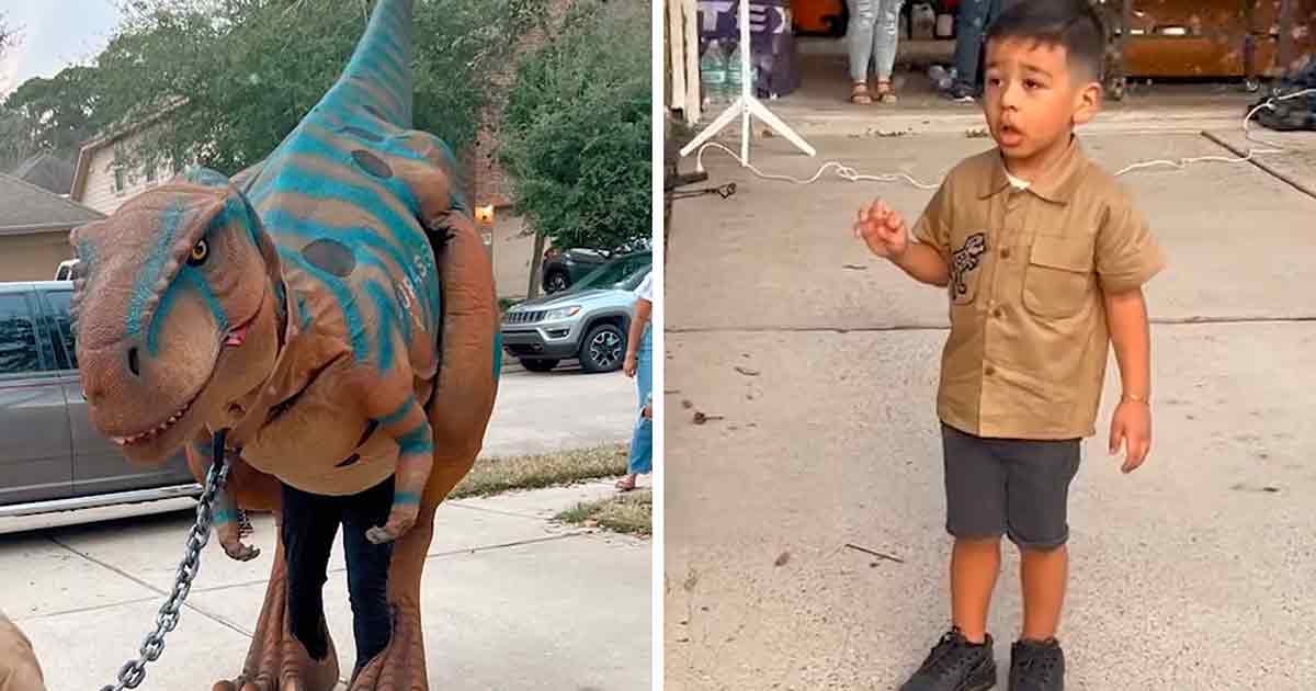 Dinosaur-loving boy speechless as T-Rex enters birthday party – Madly Odd!