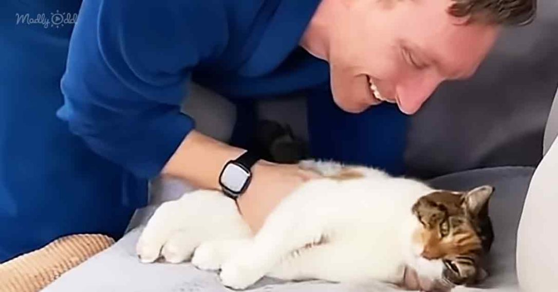 23-year-old senior kitty shares remarkable bond with her hooman – Madly ...