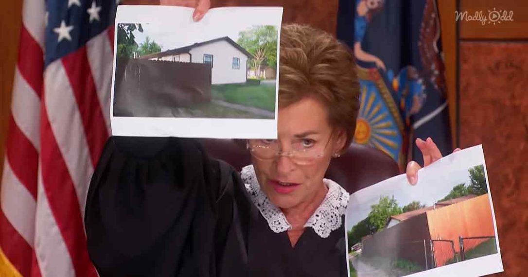 Judge Judy puts her foot down when “bully” sues neighbor over fence ...