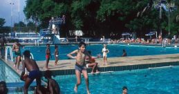 Summertime at the pool 1960s