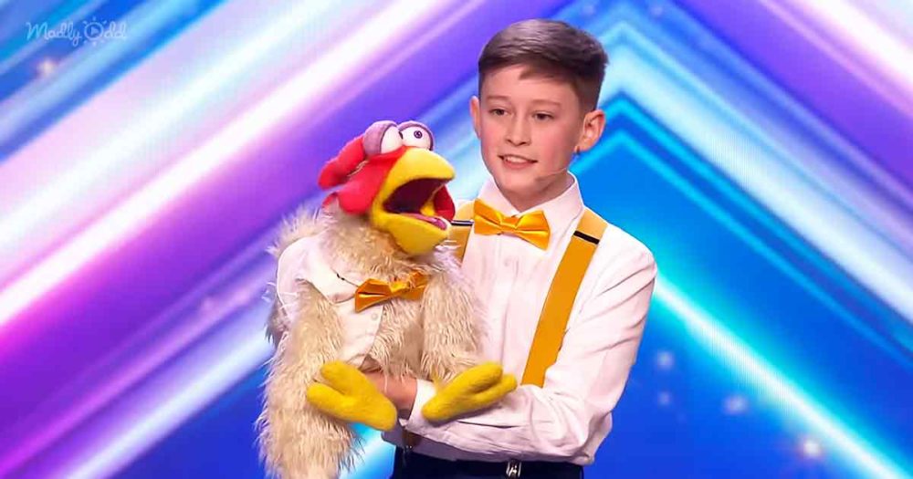 13-year-old boy and his cheeky chicken get awws and oohs from ‘Got ...