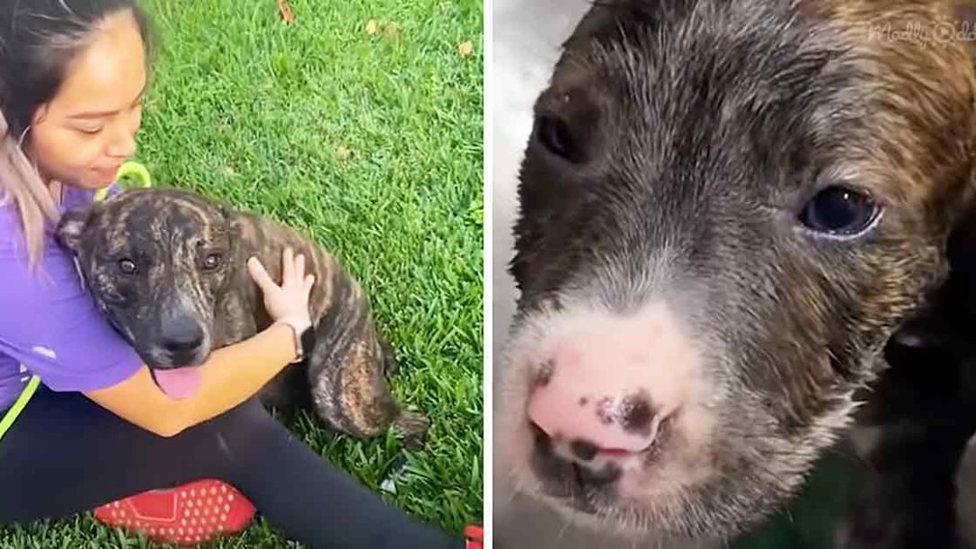 Michael Keaton makes, hands down, the wildest entrance on Johnny Carson ...