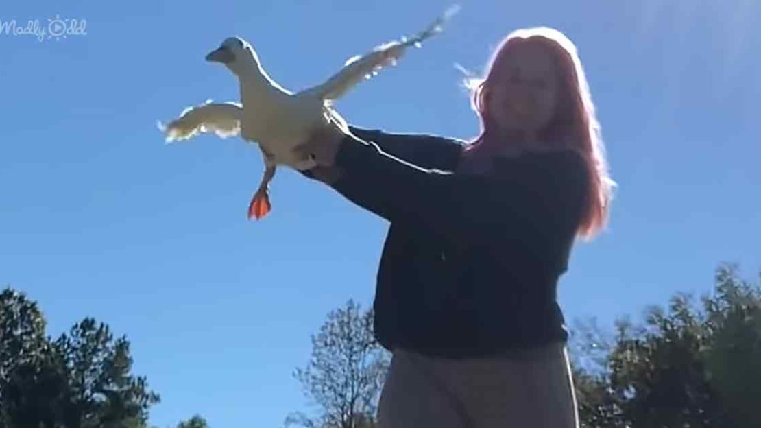 Native American brothers playing the most relaxing version of ...