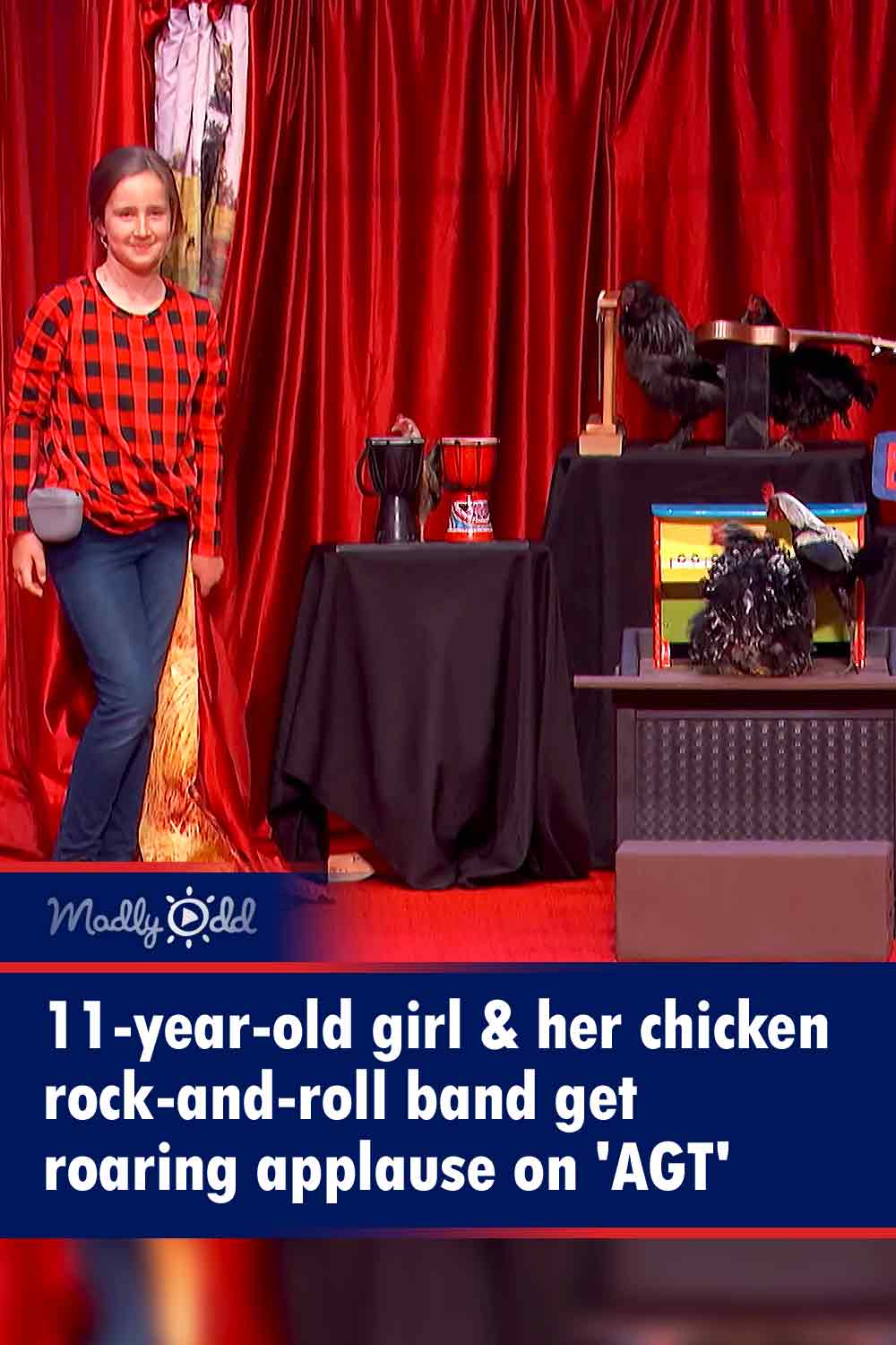 11-year-old girl & her chicken rock-and-roll band get roaring applause ...