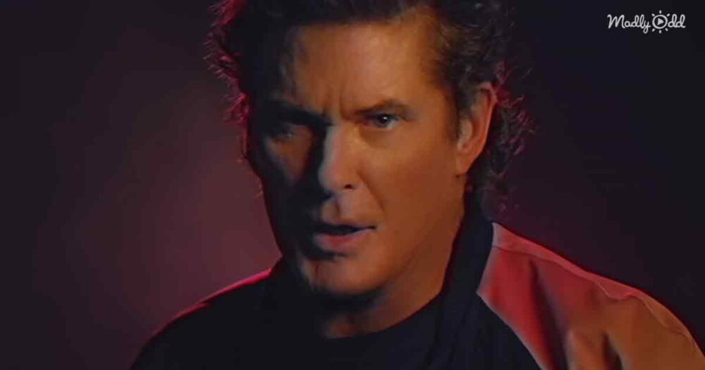 Lifeguard, Knight Rider, a phenomenal singer — David Hasselhoff has ...