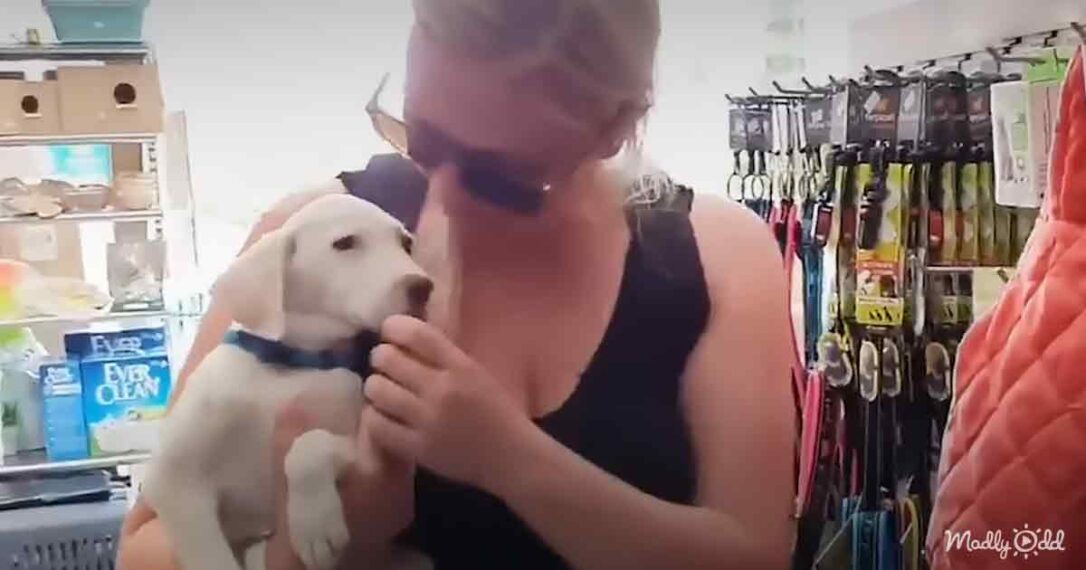 Rescue puppy’s life changes after this man pick him up nearby