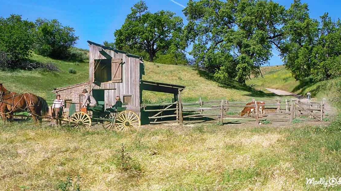 Hilarious blooper footage of Robin Williams on Sesame Street