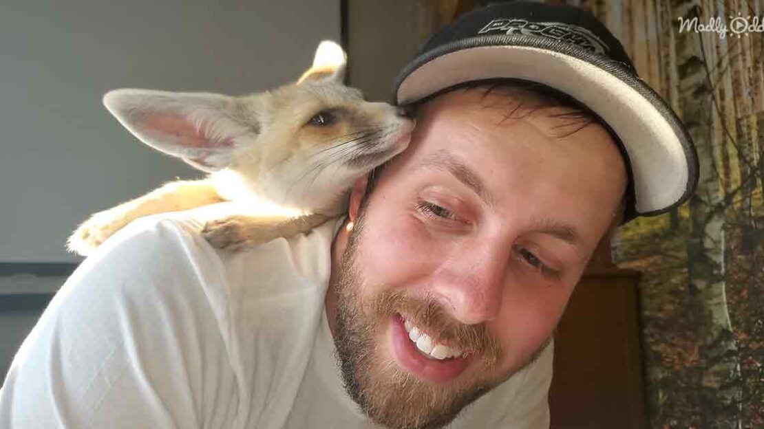 The Bee Gees blow minds with their shocking harmonies in this 1993 MTV ...