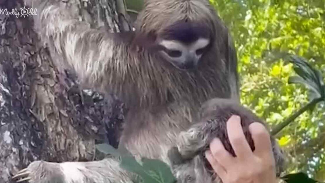 Archie Bunker delivers hilarious but heartwarming eulogy for his best ...