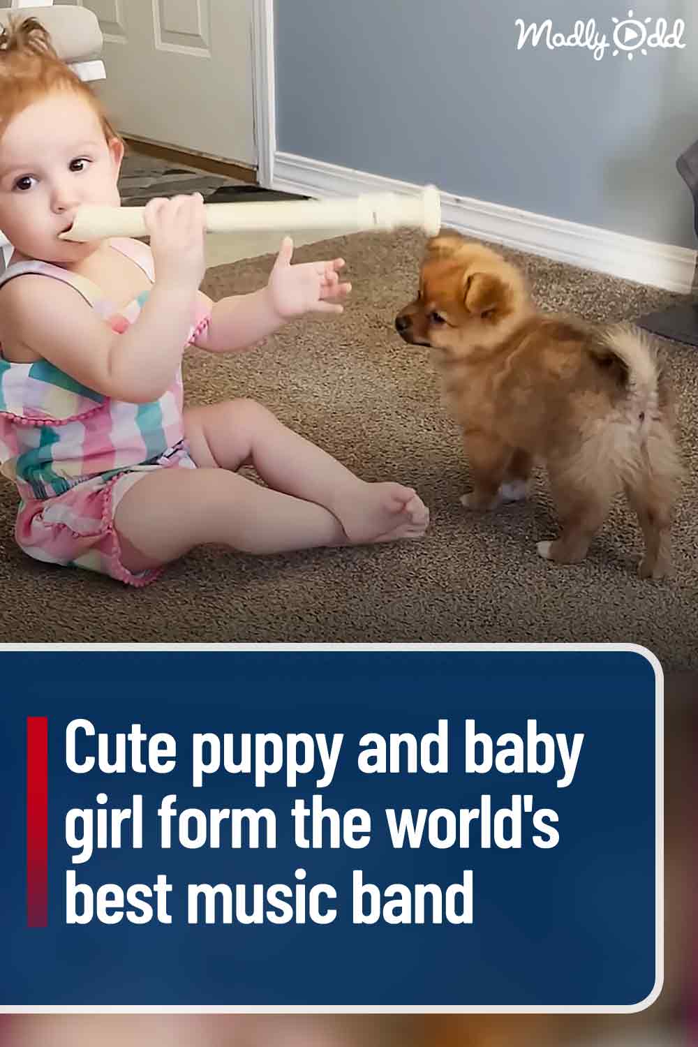 Cute puppy and baby girl form the world’s best music band