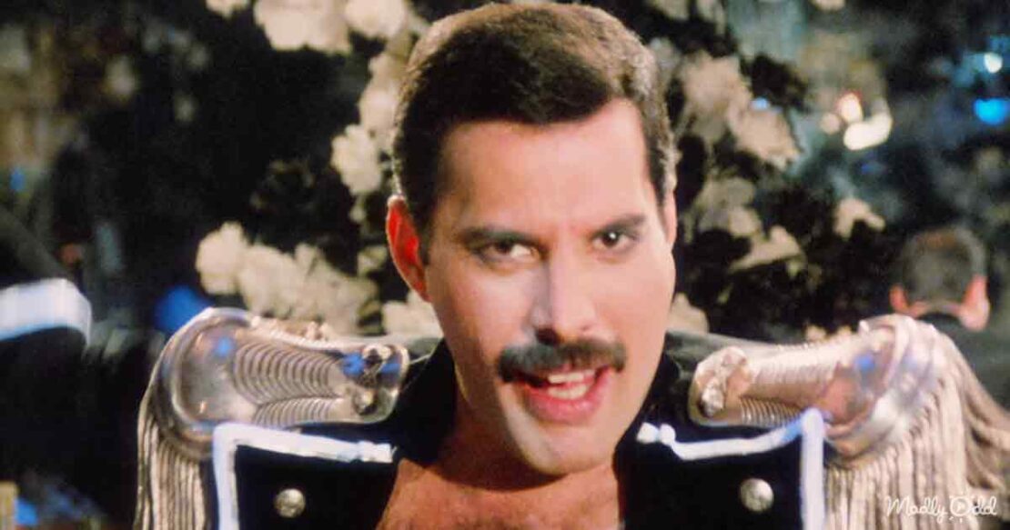 Freddie Mercury was one of the most talented vocalists, singers, and ...