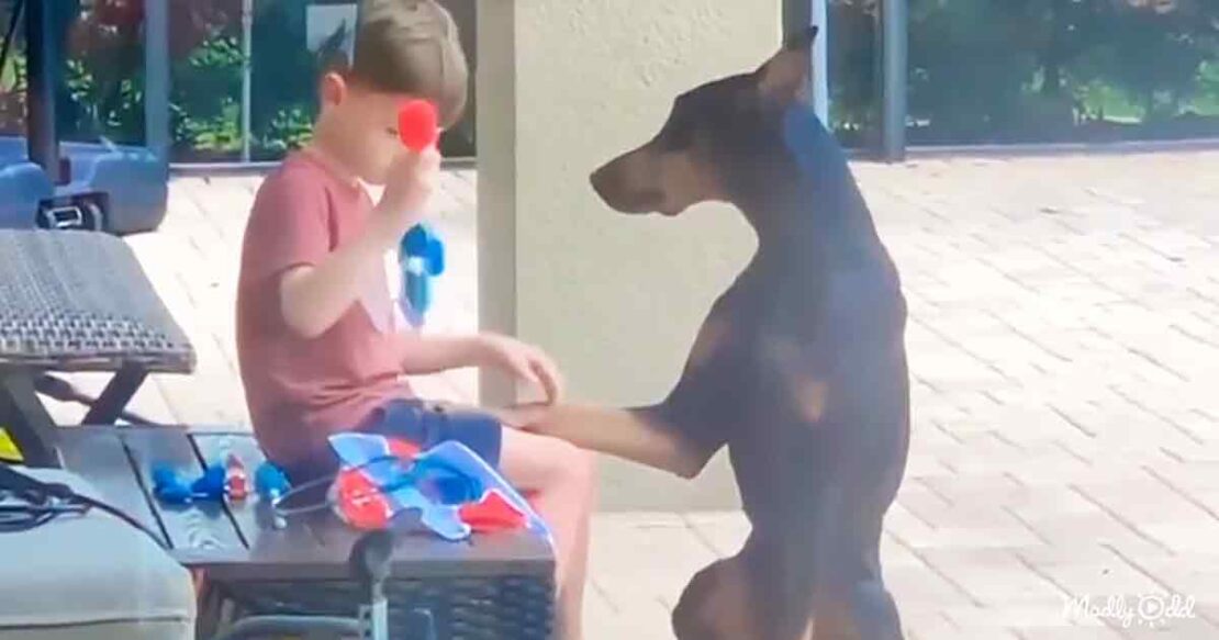 Dad secretly records future vet and his patient – Madly Odd!