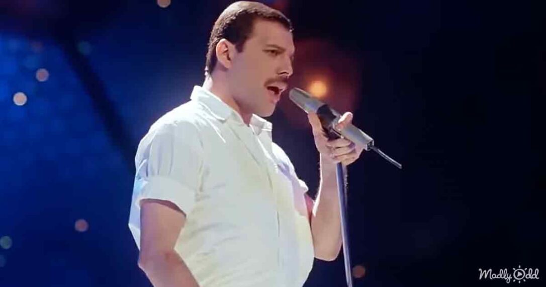 Freddie Mercury was one of the most talented vocalists, singers, and ...