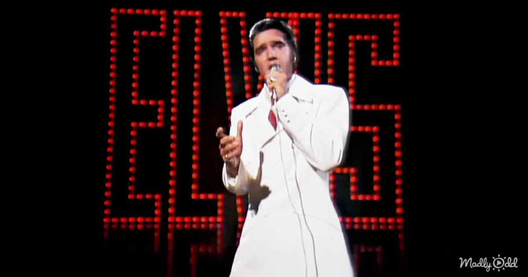 Celebrating The Life of Elvis Presley, The King of Rock ’n’ Roll ...
