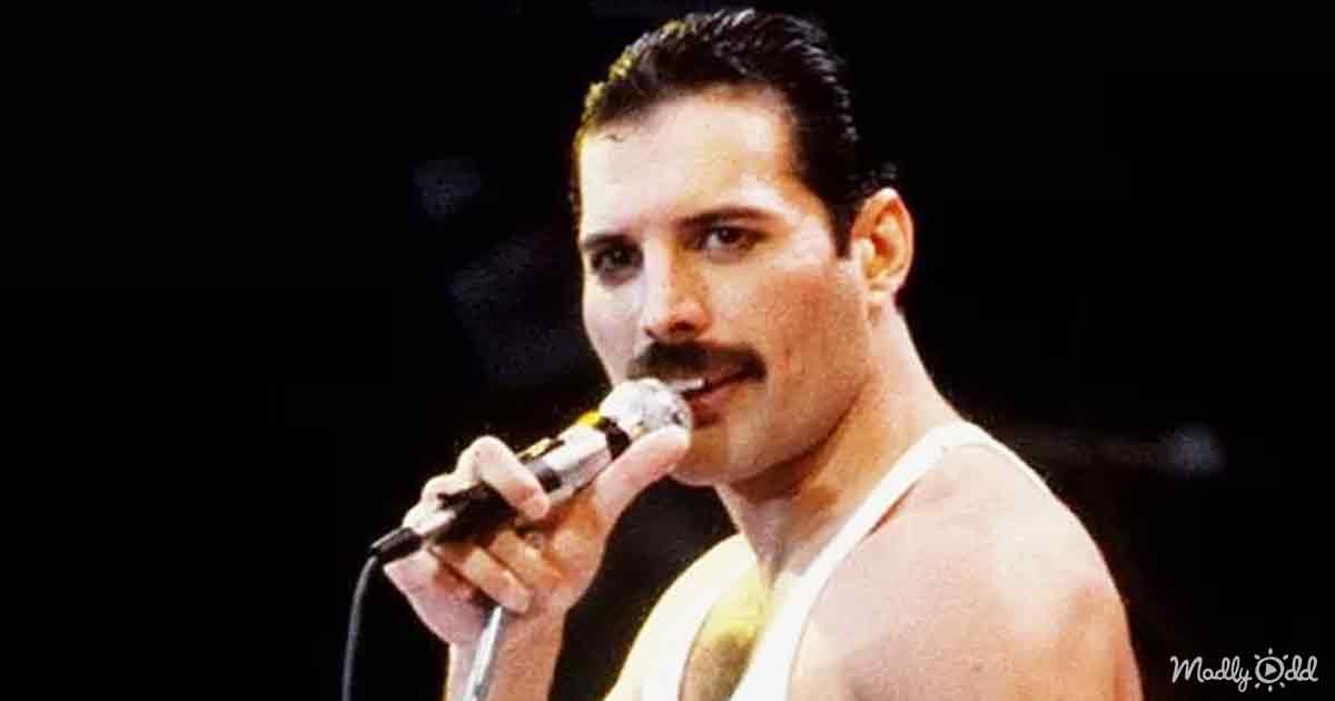 Freddie Mercury was one of the most talented vocalists, singers, and ...