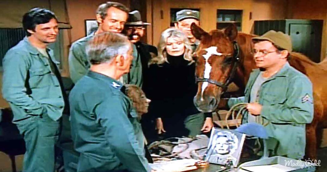 “The Colonel’s Horse” scene from M*A*S*H still tugs on the heart ...