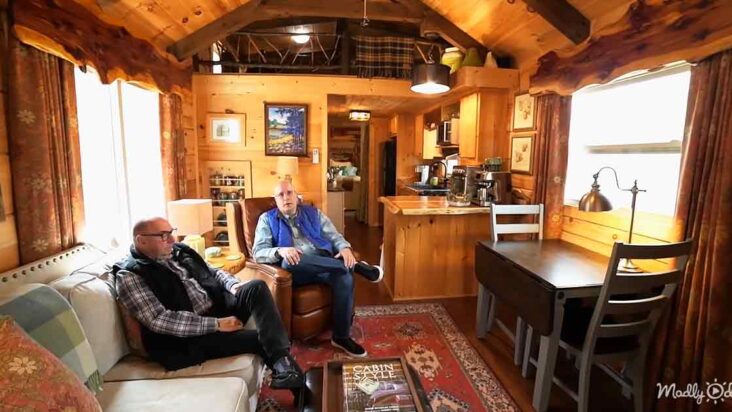 Hyper-realistic "spy turtle" lays observation eggs on beach to film ...