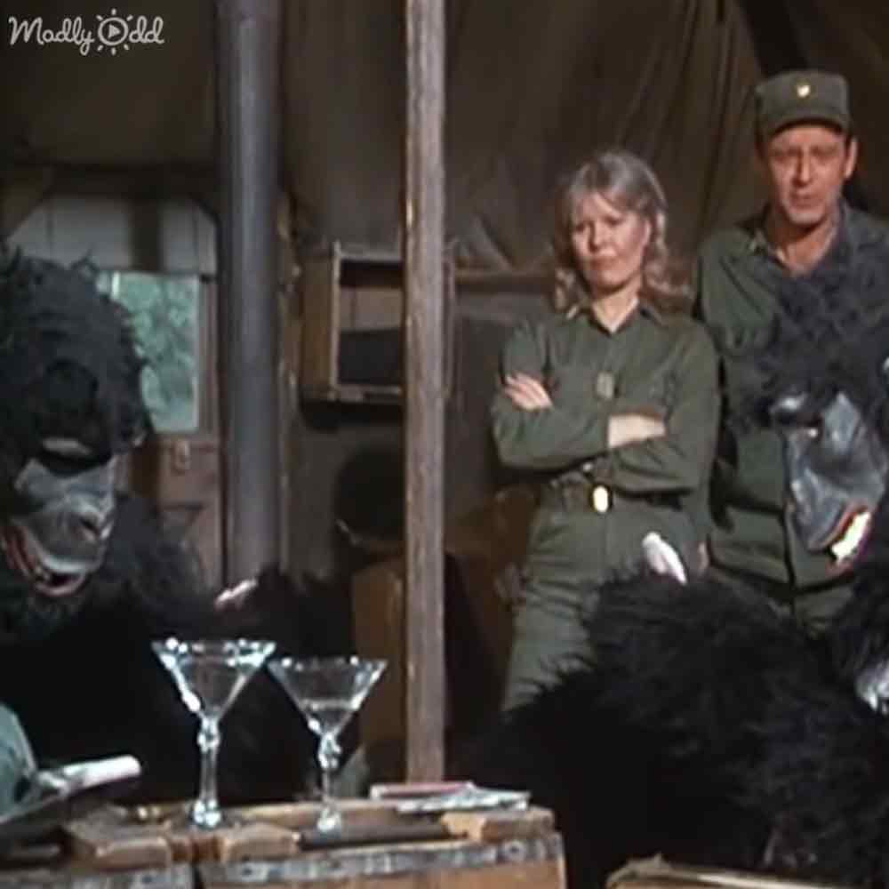 The funniest ‘M*A*S*H’ moments that will crack you up – Madly Odd!
