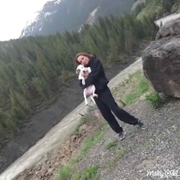 Woman breaks into animal shelter to save her dog from euthanasia ...
