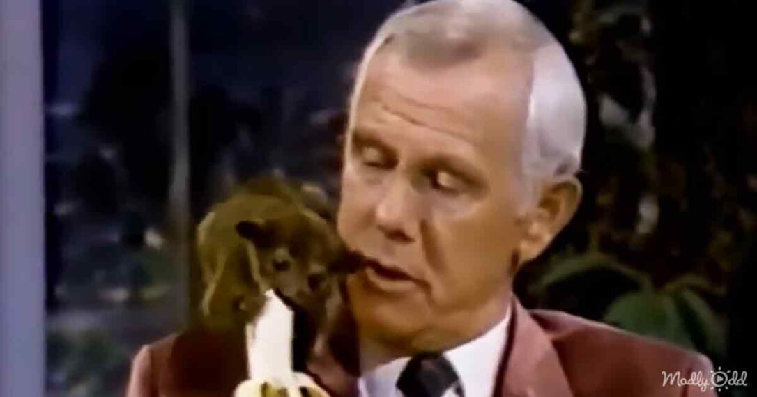 Johnny Carson’s most memorable animal guests – Madly Odd!