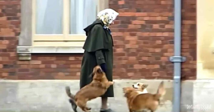 Queen Elizabeth II shows her love for dogs – Madly Odd!