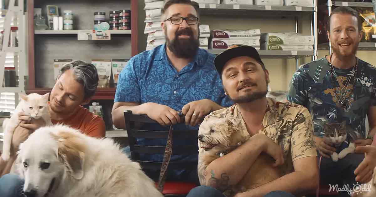 Emotional ballad by ‘Home Free’ with puppies and kittens gets 11 out of ...