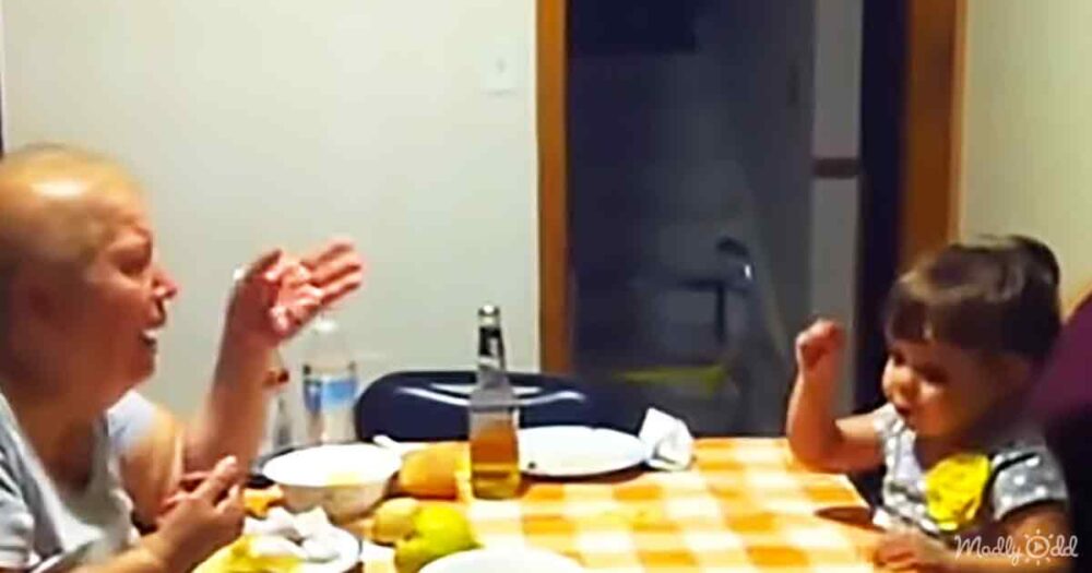 Video captures toddler having an adorable ‘conversation’ with her ...