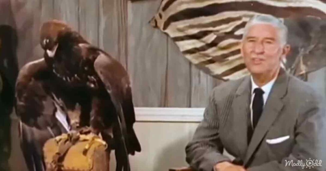 60s kids will remember ‘Mutual Of Omaha’s Wild Kingdom’ with Marlin ...