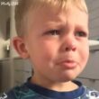 Toddler upset after learning the bacon is all gone – Madly Odd!