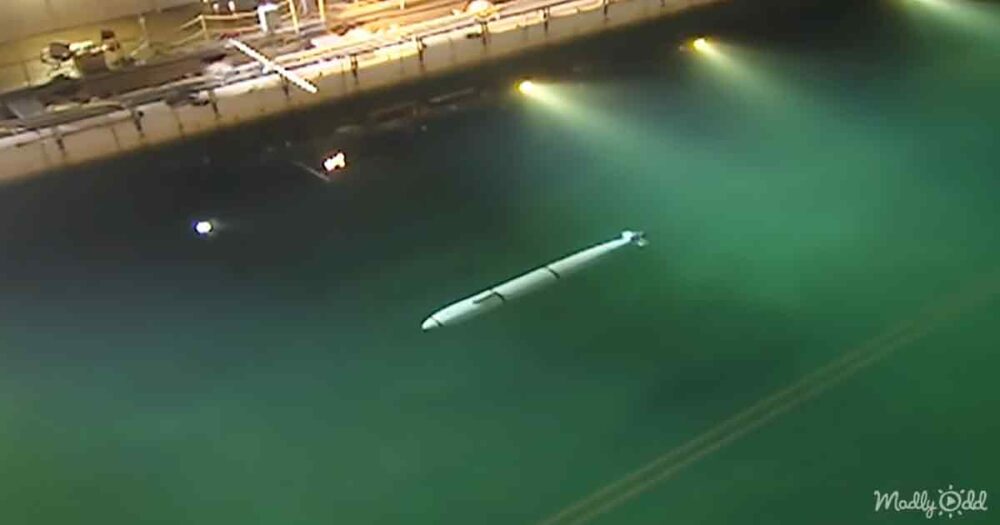 Indoor ocean can model tidal conditions around the world – Madly Odd!