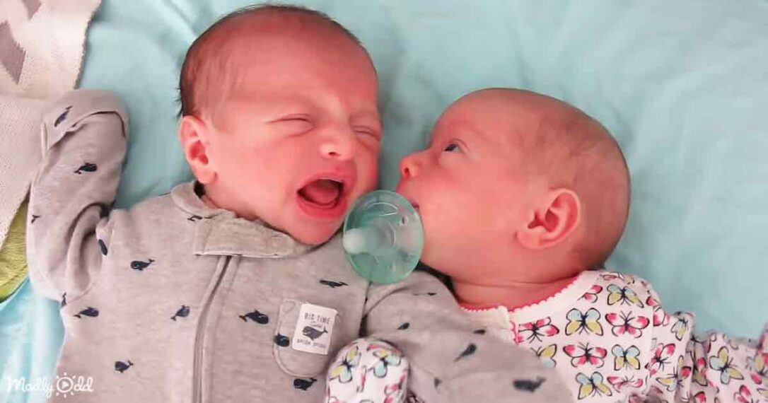 Newborn Twins Battle Over A Pacifier With Adorably Funny Results ...