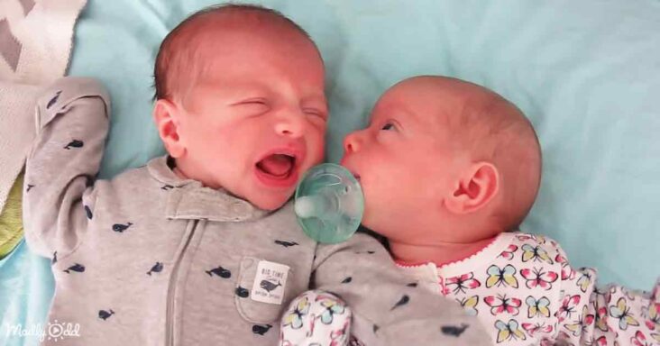 Newborn Twins Battle Over A Pacifier With Adorably Funny Results ...