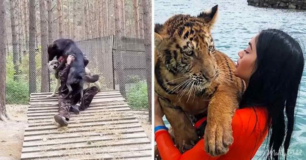 Animals have the sweetest reunions with their best friends after years ...